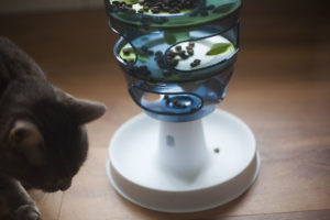 Catit Design Senses Food Maze Cat Feeding Toy Review