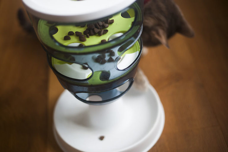 Catit Design Senses Food Maze Cat Feeding Toy Review