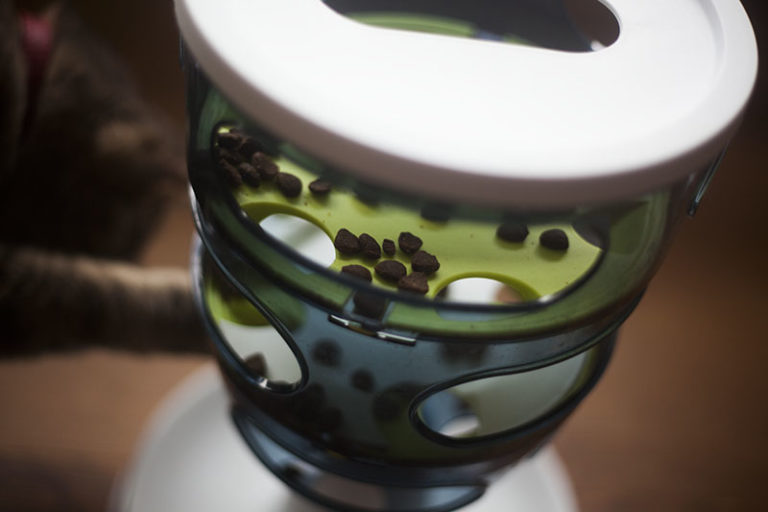 Catit Design Senses Food Maze Cat Feeding Toy Review