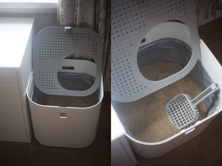 Modko Modkat Minimalist Top Entry Cat Litter Box Review