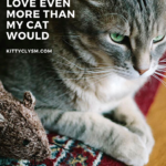 15 Cute Catnip Toys I'd Love Even More Than My Cat Would