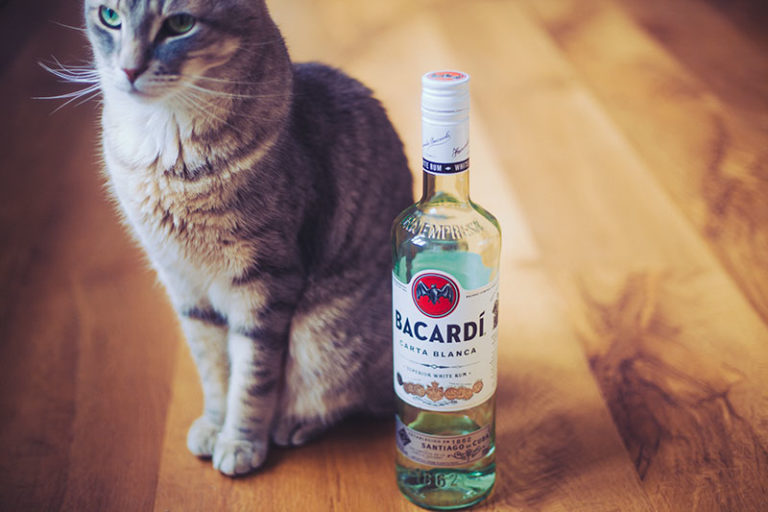 Too Fun: Alcohol Inspired Names for Cats, Dogs & Other Pets!