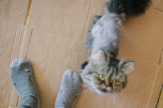 "Why Does My Cat Bite My Feet?" Explaining Foot, Leg, Ankle & Toe Chomps